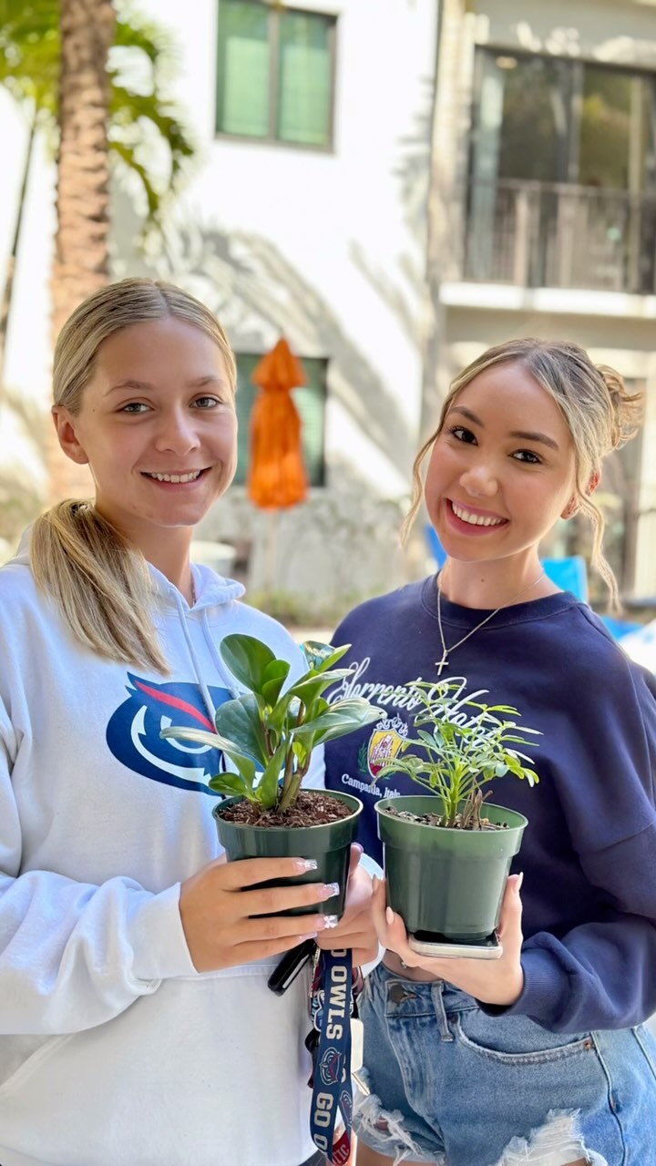 University Park | Boca Raton, FL Student Apartments near FAU