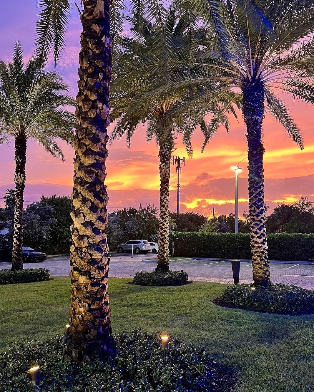 University Park | Boca Raton, FL Student Apartments near FAU